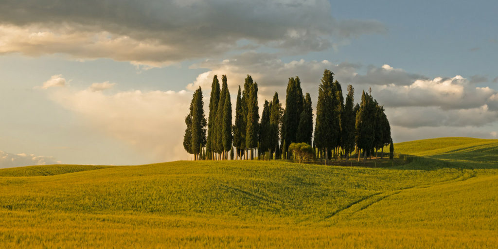 Group Coaching – Laura Fay